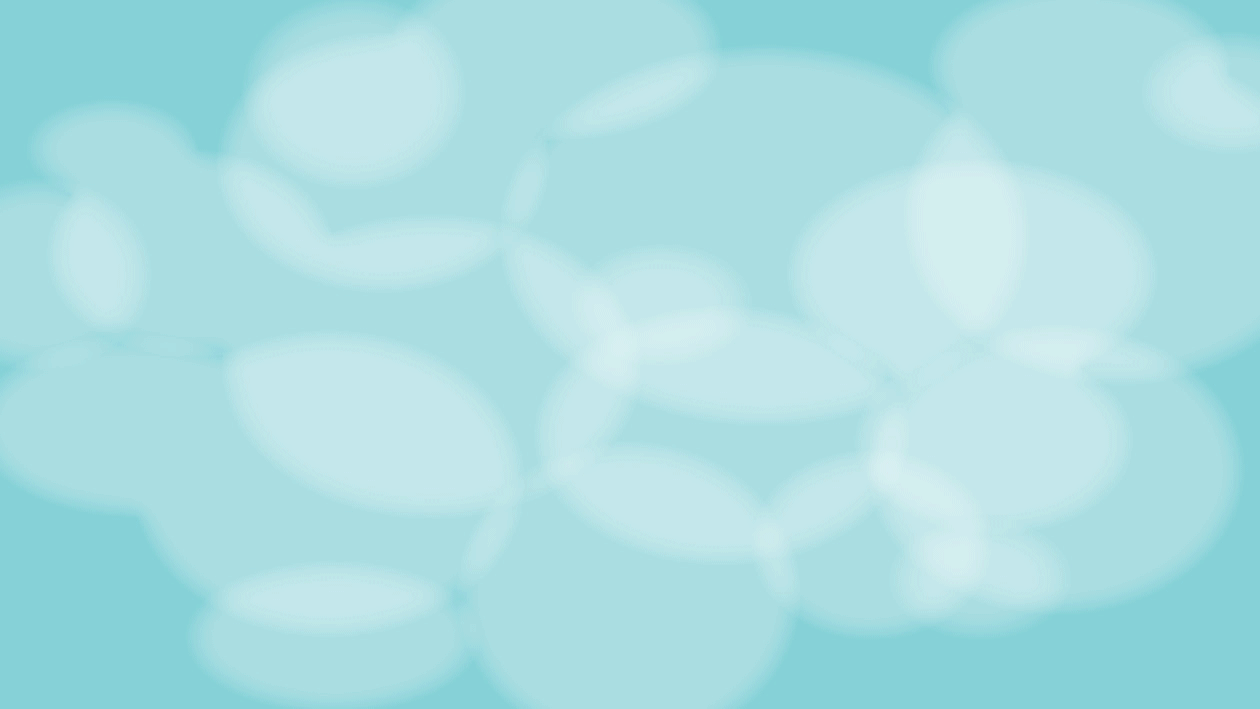 Inshallah, mashallah, habibi and other misused Arabic words and phrases ...