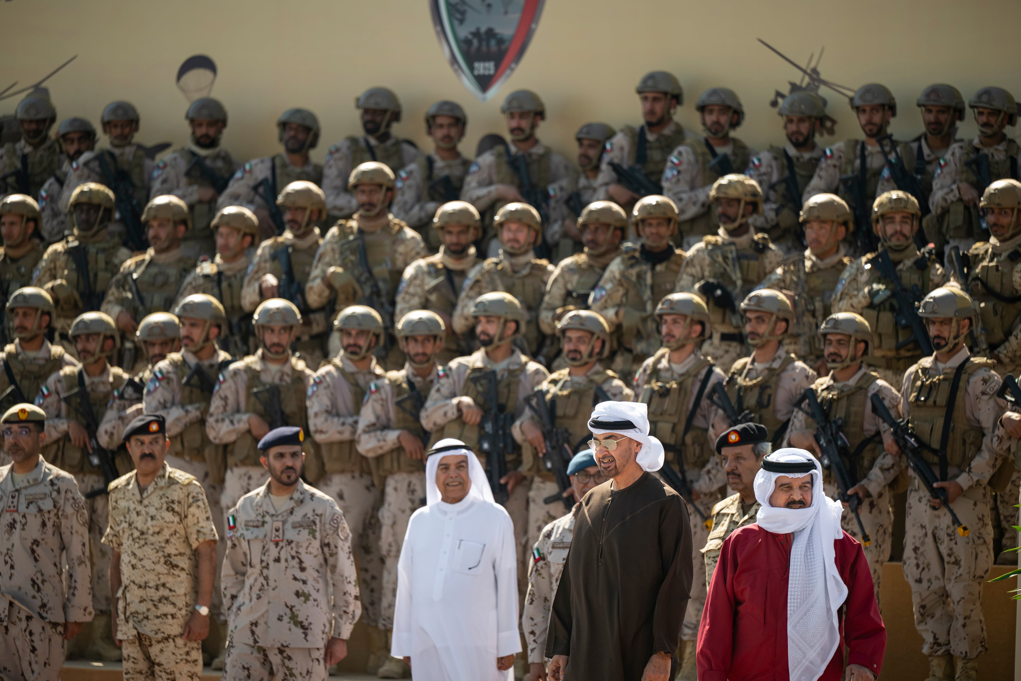 UAE and Bahrain leaders oversee joint military drill | The National