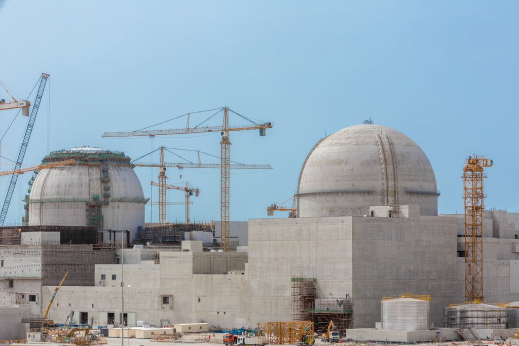 UAE's nuclear regulator 'ready' for capacity expansion | The National