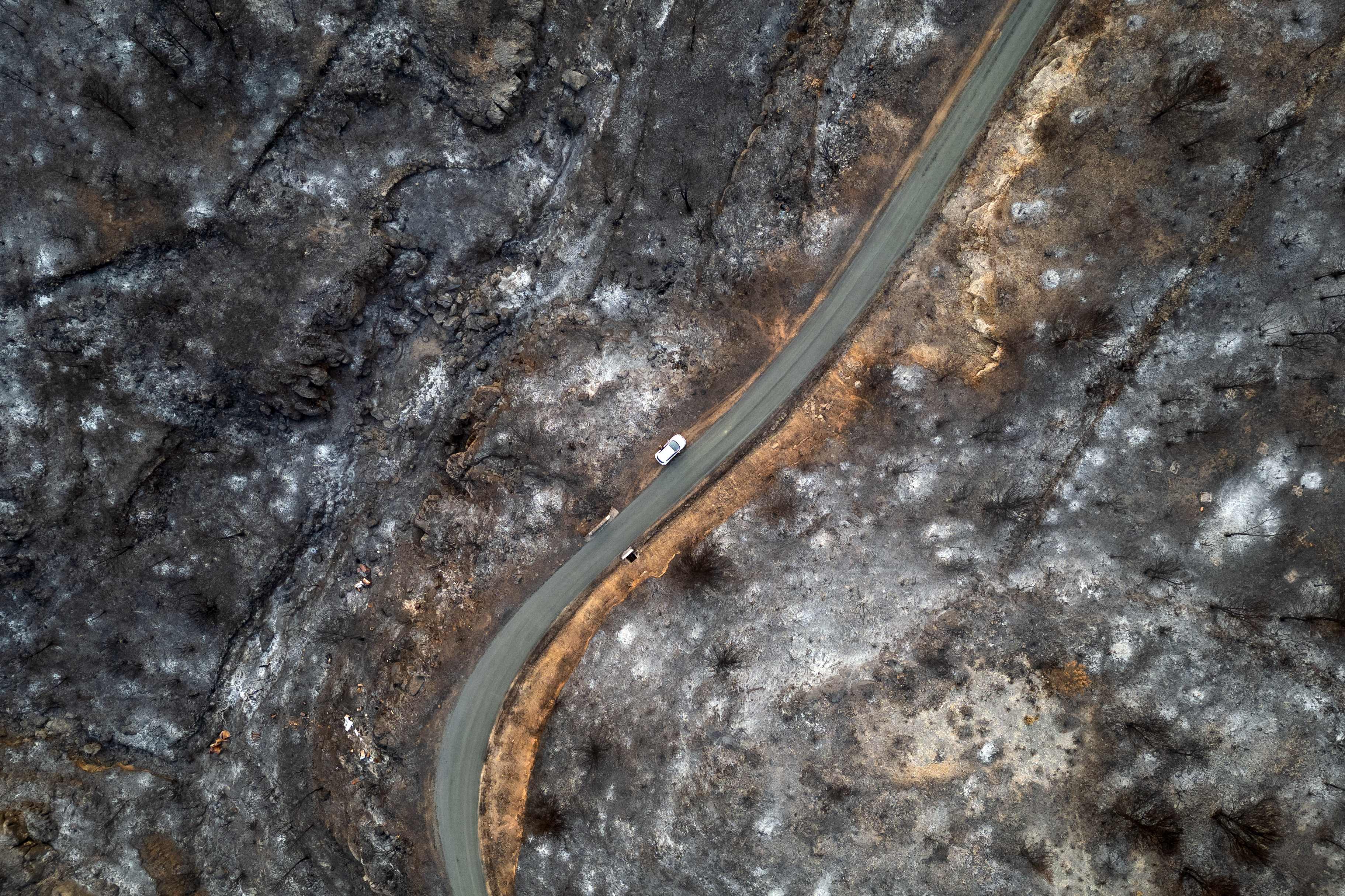 Best photos of August 19: From beachgoers in China to wildfire damage ...