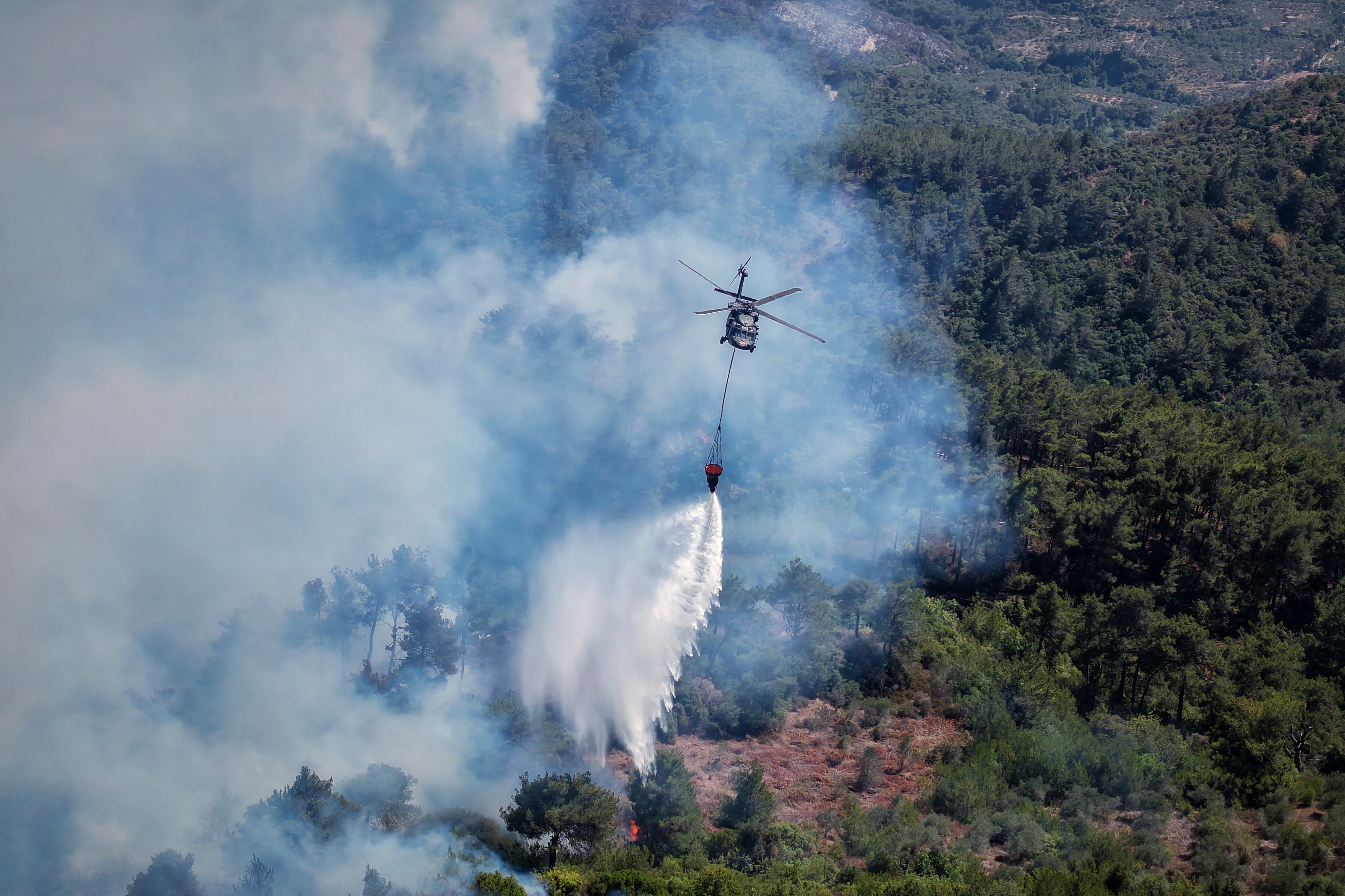 Syria's coastal areas ravaged by wildfires | The National