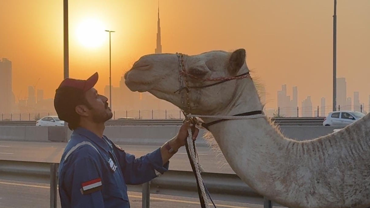 From Yemen to the UAE by camel: Muneer Al Dahmi's epic journey to ...