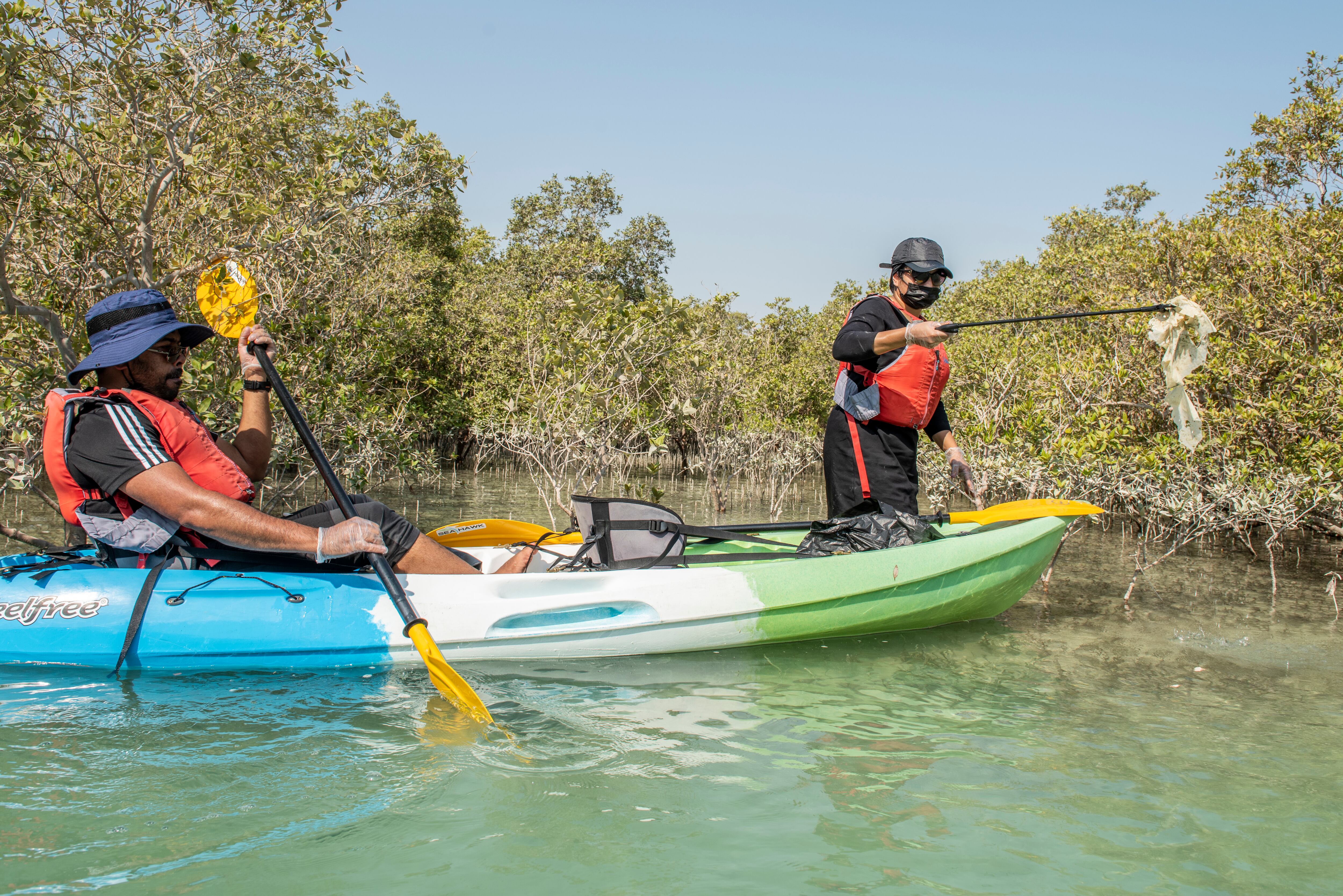 From sea turtles to praying mantises, Fujairah's planted mangroves are ...