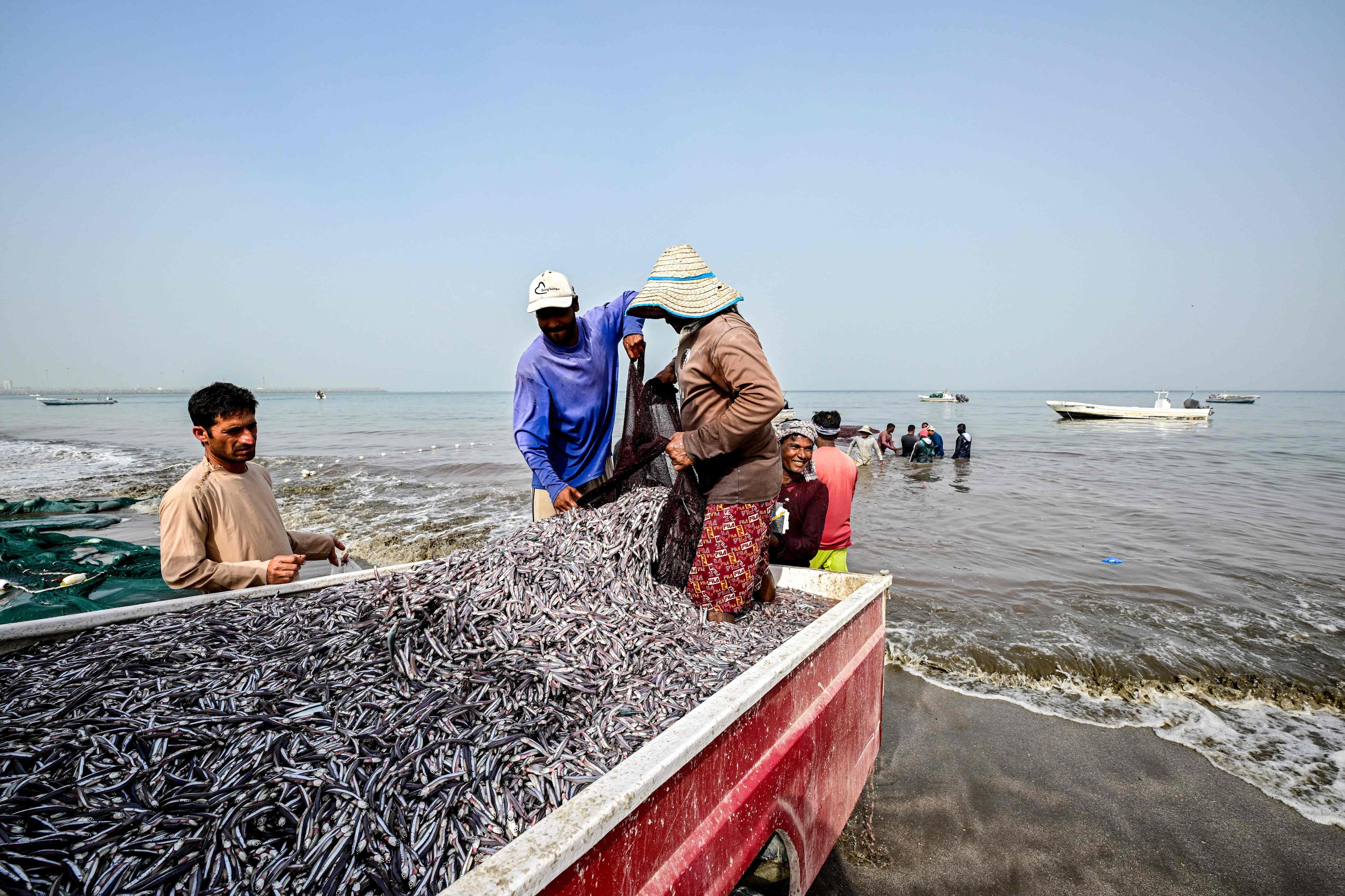 Best photos of April 17: A Javan hawk-eagle to fishermen in Fujairah ...