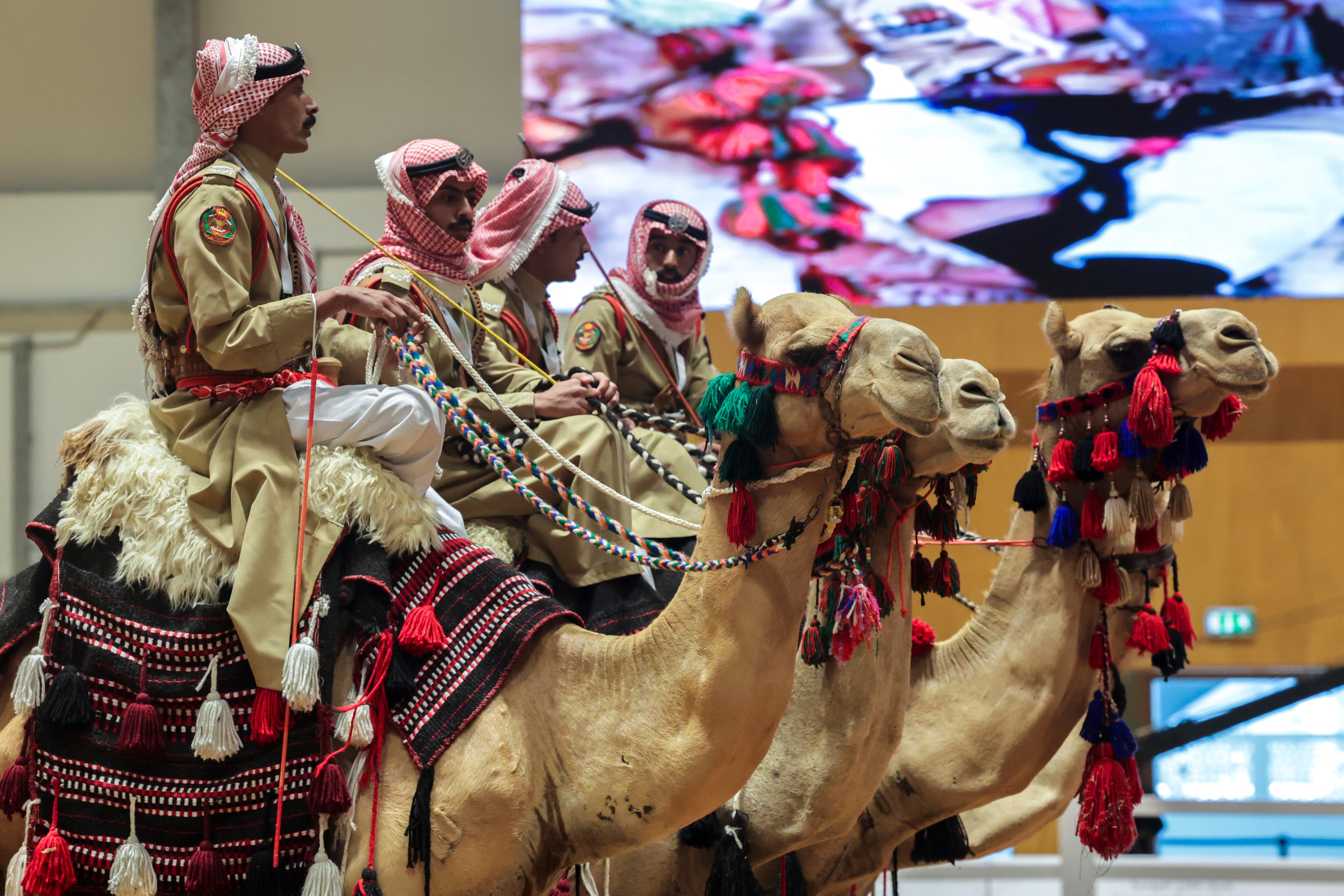 Last chance to see cloned camels and embrace falconry traditions at ...