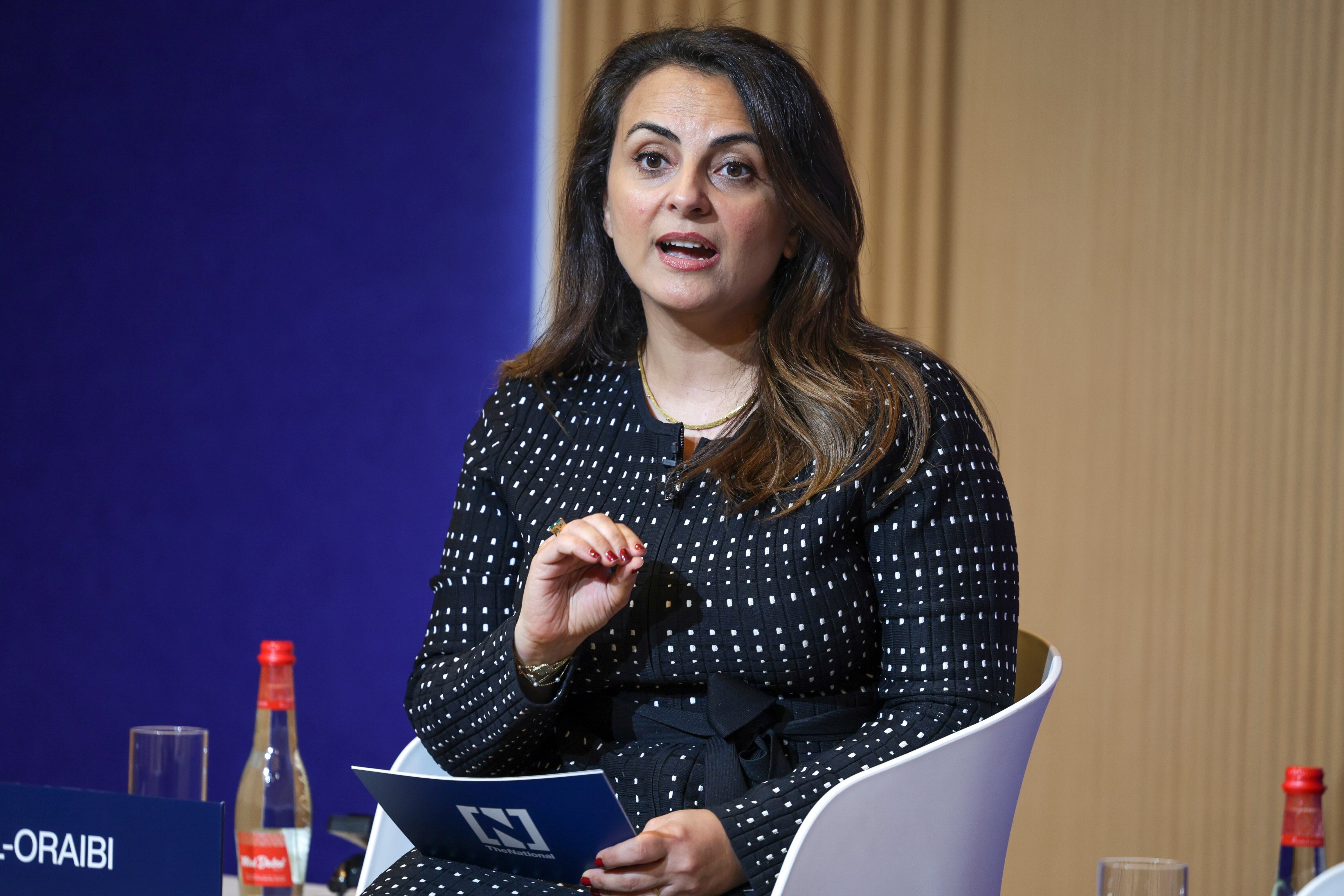 The National at WEF Dubai: Counting the cost of underinvesting in ...