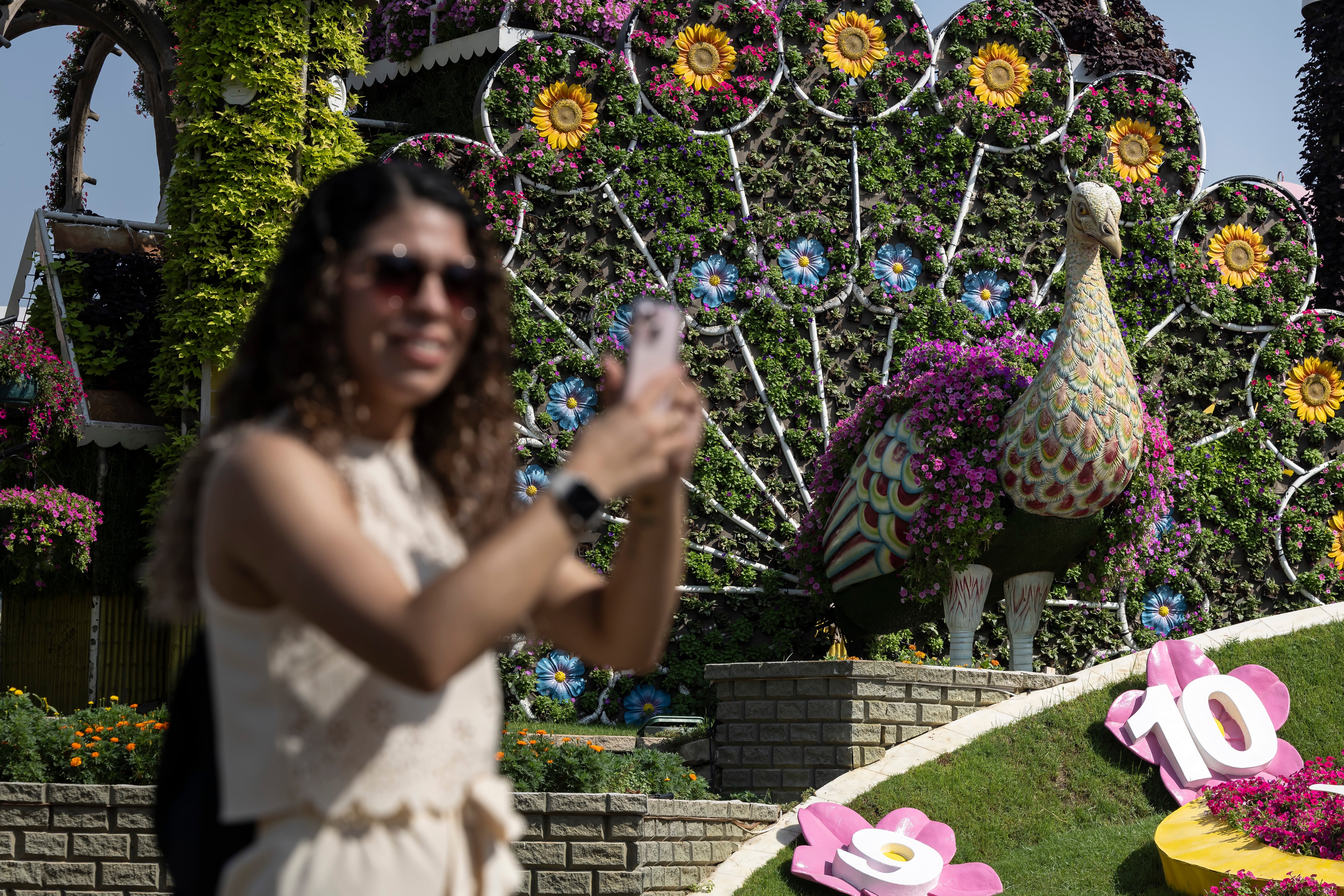 Dubai Miracle Garden reopens with 150 million flowers and family ...