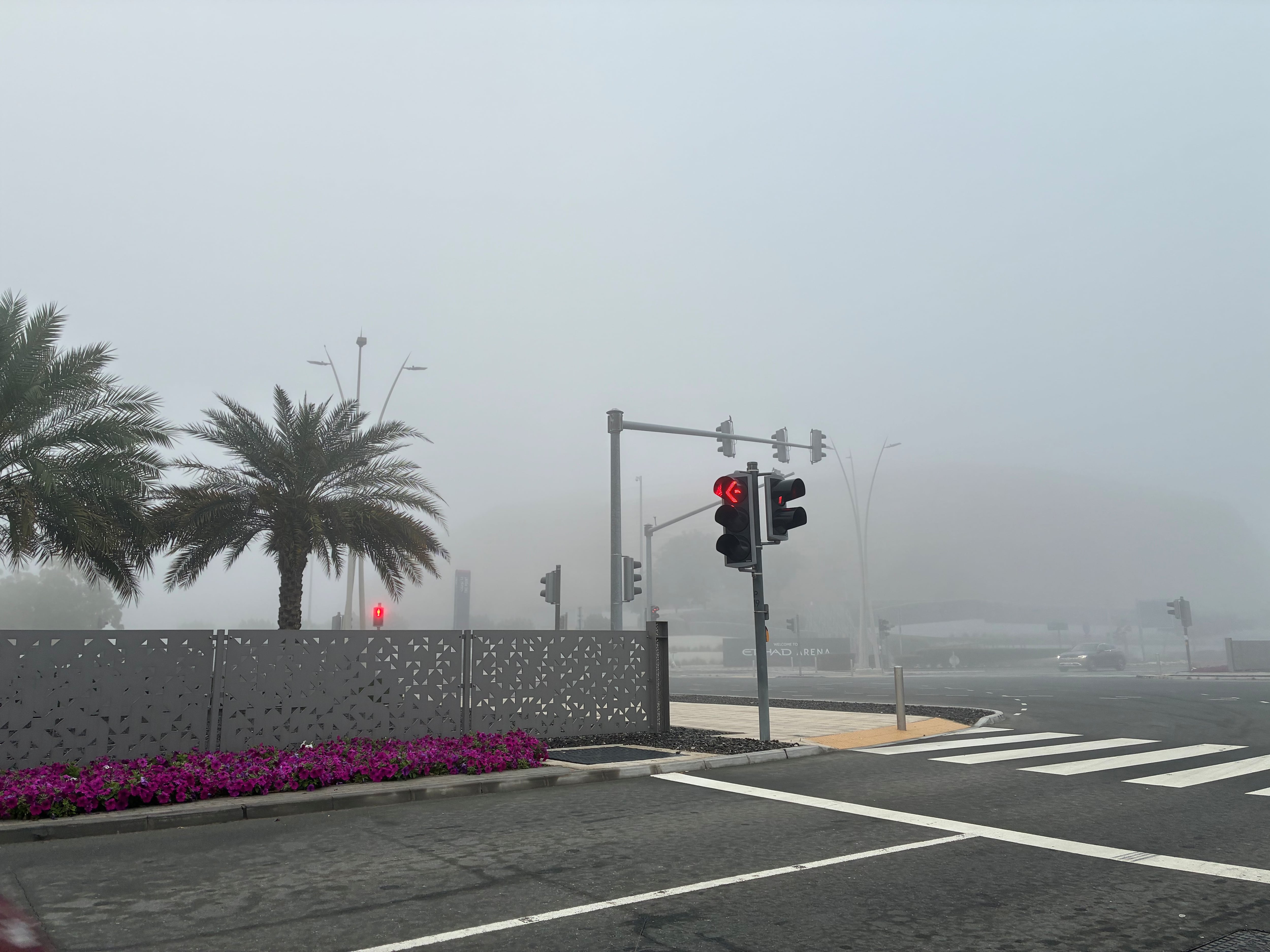 Cloudy issue? UAE's fog season yet to run its course, records suggest ...