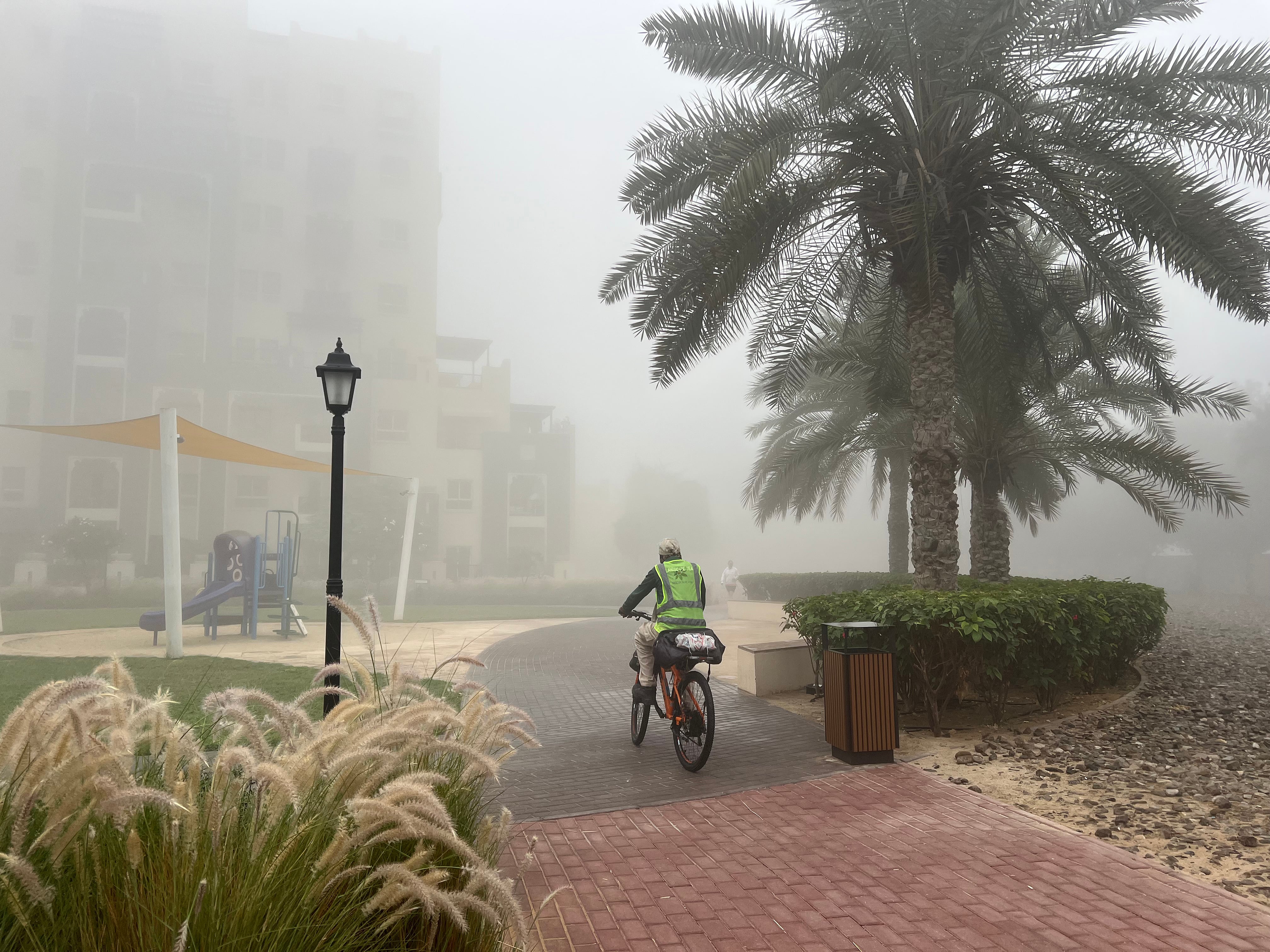 UAE weather: Heavy fog blankets country as motorists urged to slow down ...