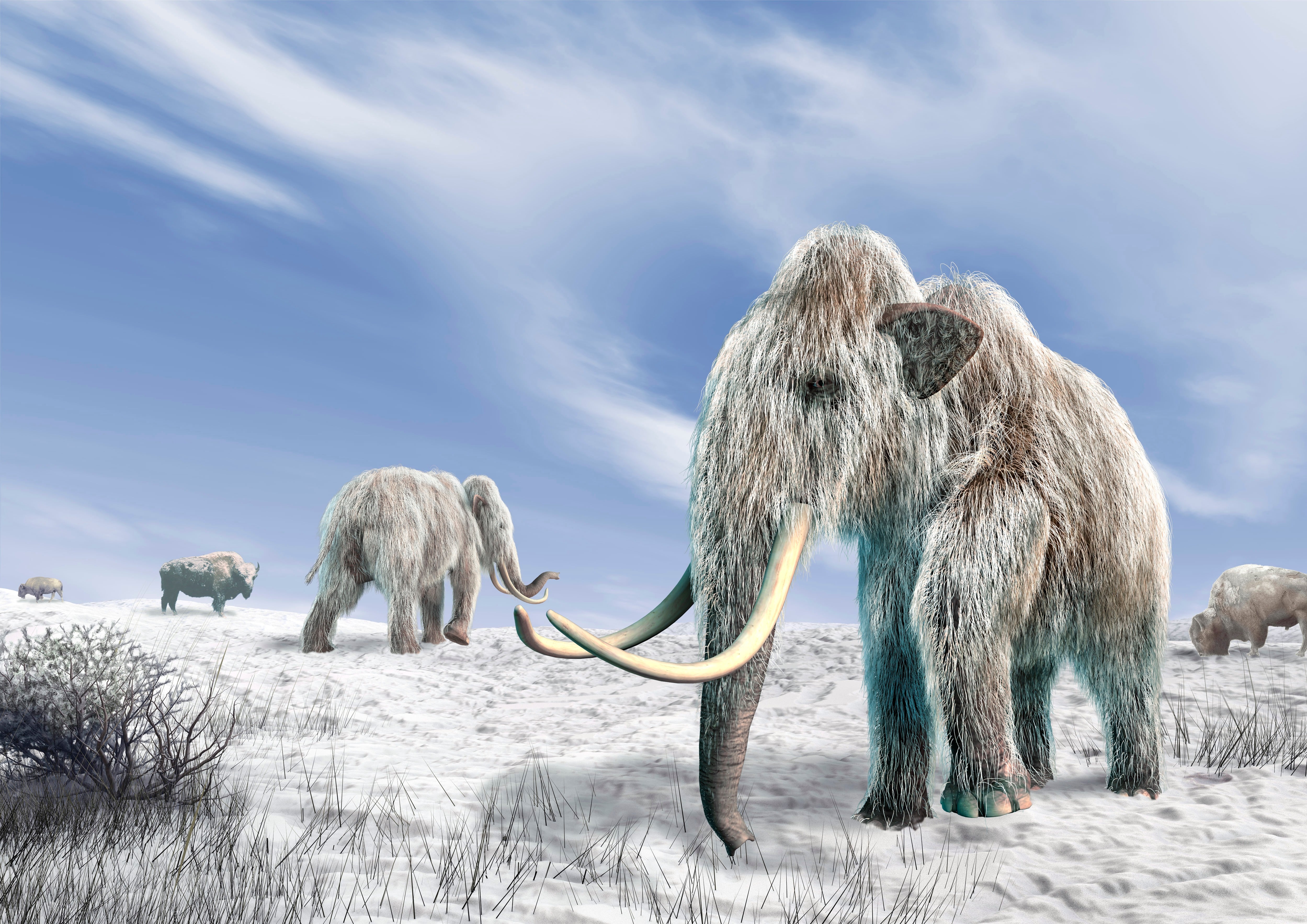 Woolly mouse unveiled by firm hoping to bring more extinct animals back ...