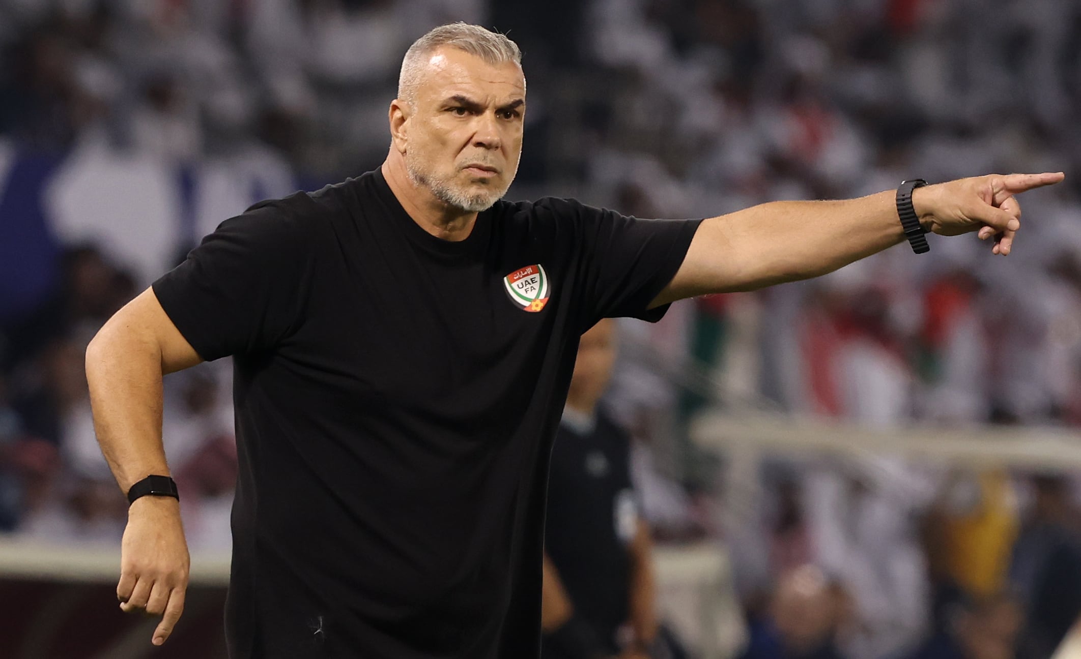 Cosmin Olaroiu urges UAE to use Qatar defeat as fuel for World Cup ...
