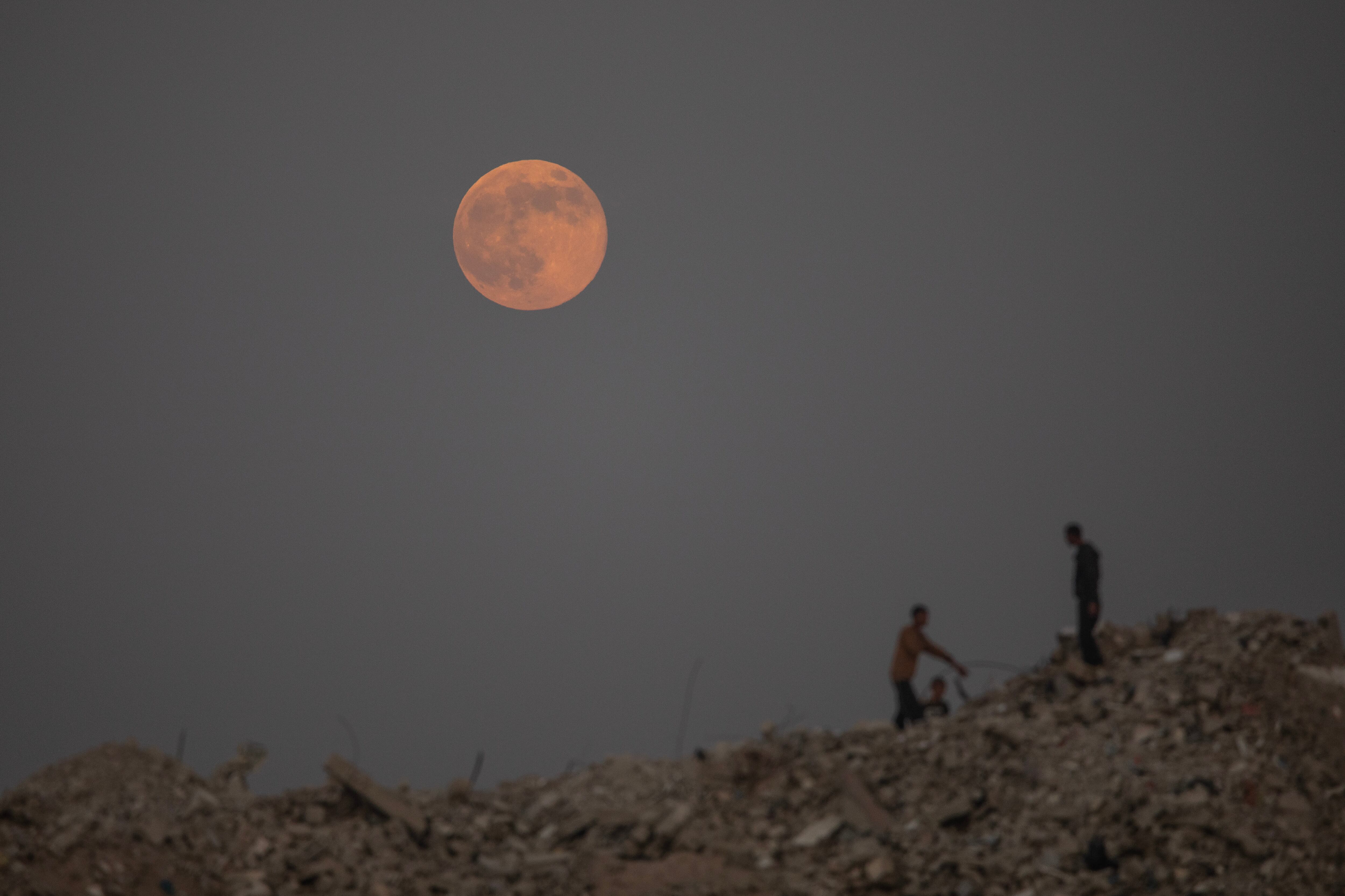 Pictures of the week: From the Grand Egyptian Museum opening to a ...