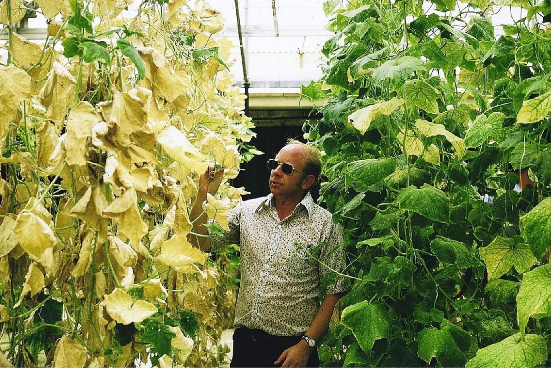 First farmer of Saadiyat Island tells of miracle crop growth in the Abu ...