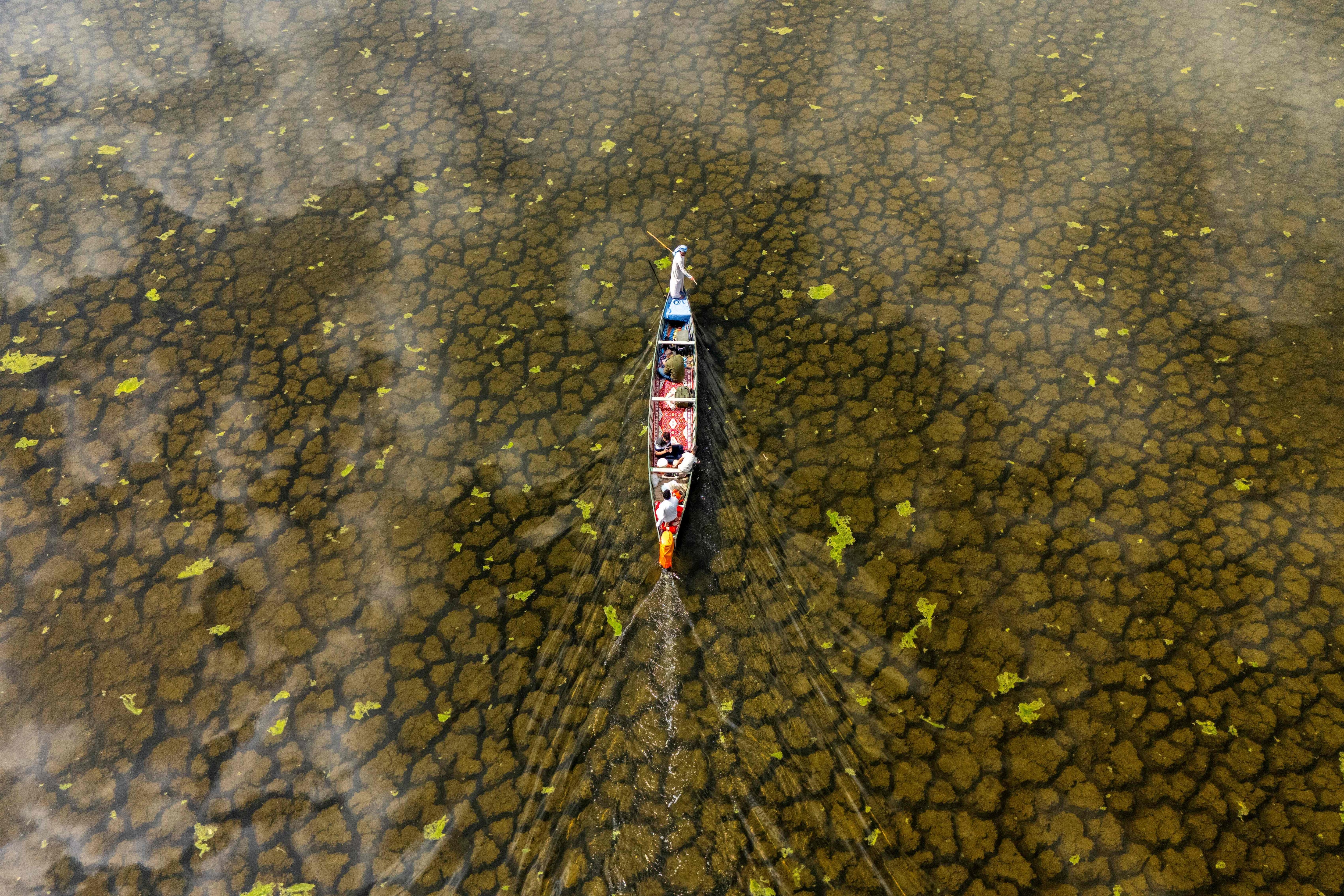 Rain revives Iraq's Hawizeh Marshes after years of drought | The National