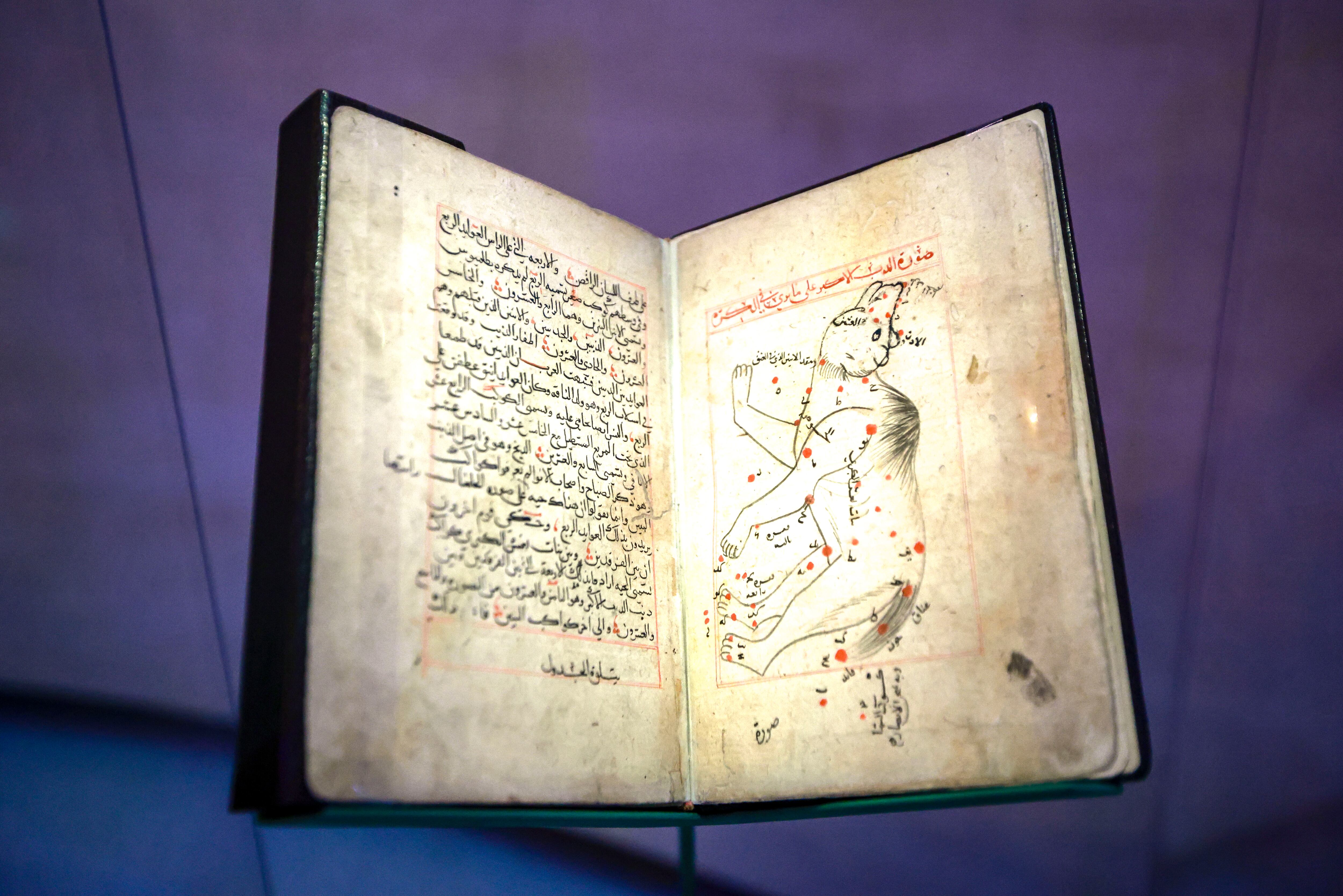 Zayed National Museum explores history of Emirati culture, from camels ...