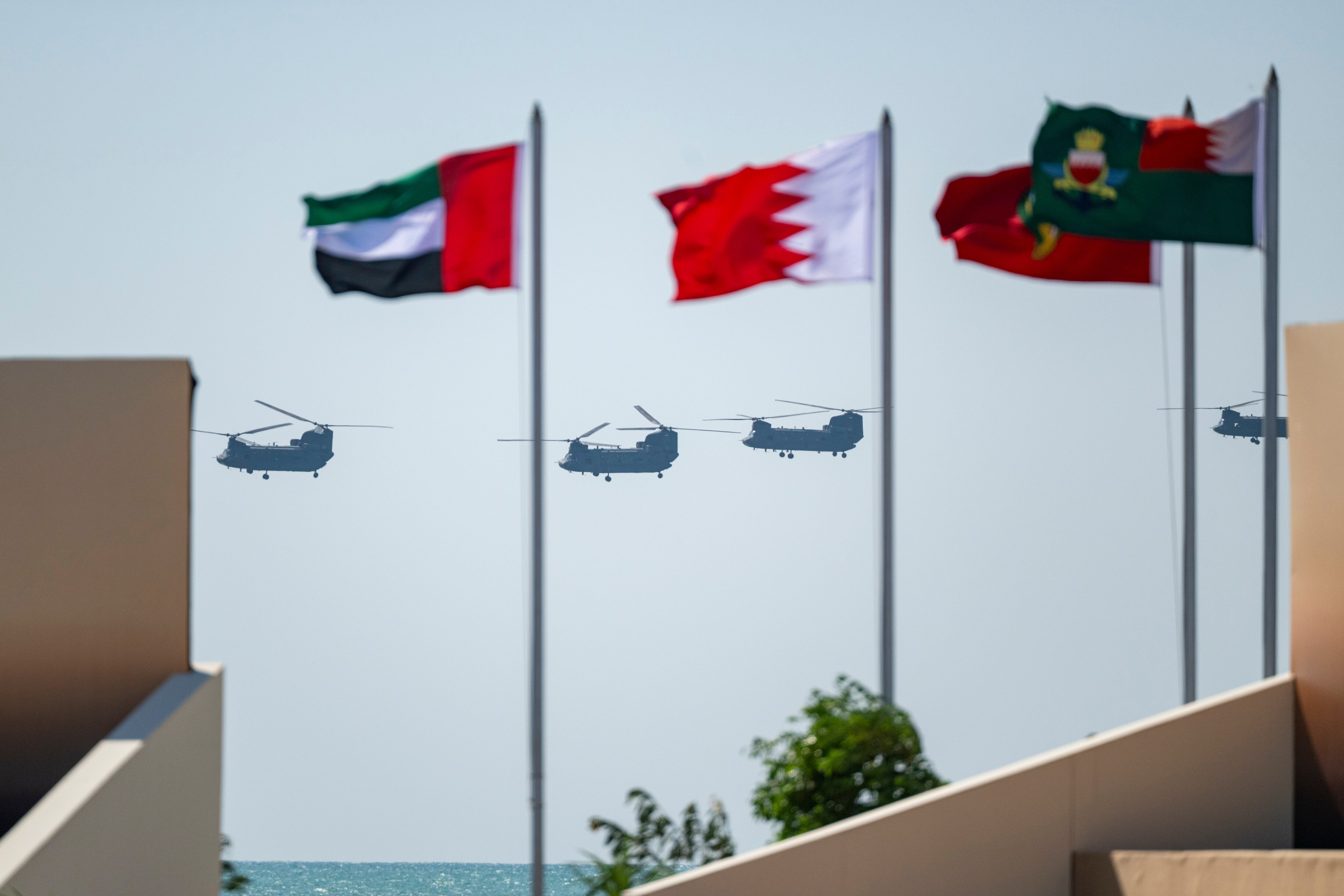 UAE and Bahrain leaders oversee joint military drill | The National